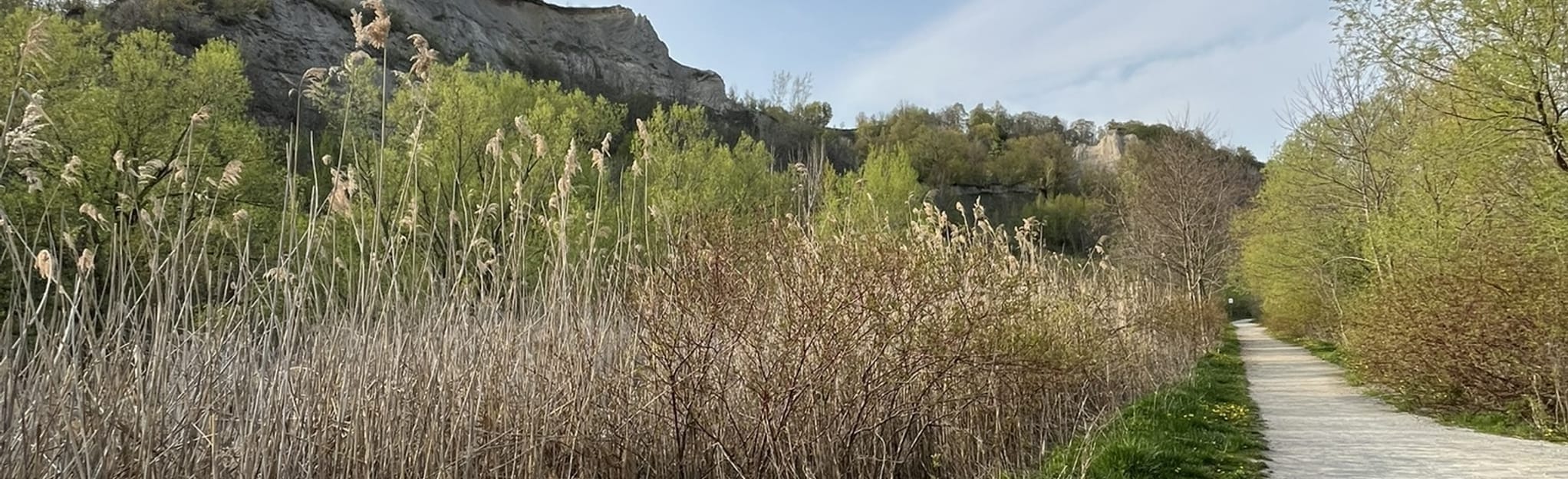 Scarborough Bluffs Trail: 644 Reviews, Map - Ontario, Canada | AllTrails