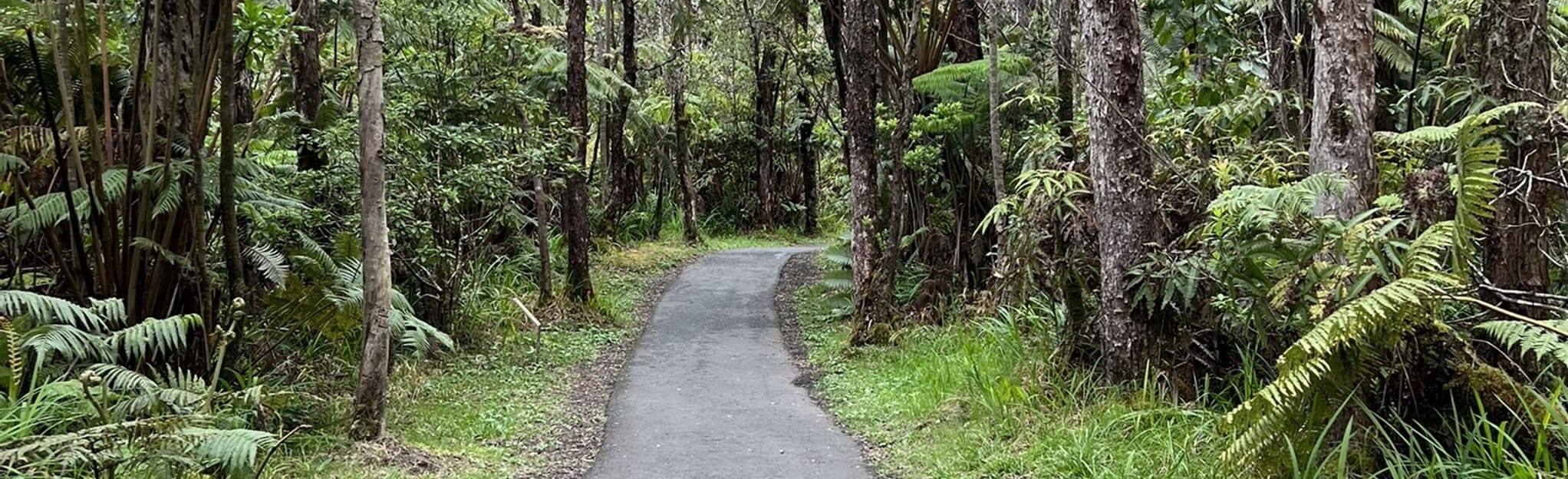 Thurston Lava Tube Trail, Hawaii, Hawaii - 1,877 Reviews, Map | AllTrails