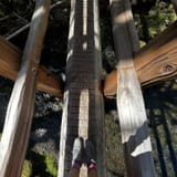 Shady Lane Trail, Washington - 161 Reviews, Map | AllTrails