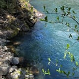 Shady Lane Trail, Washington - 161 Reviews, Map | AllTrails