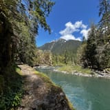 Shady Lane Trail, Washington - 161 Reviews, Map | AllTrails