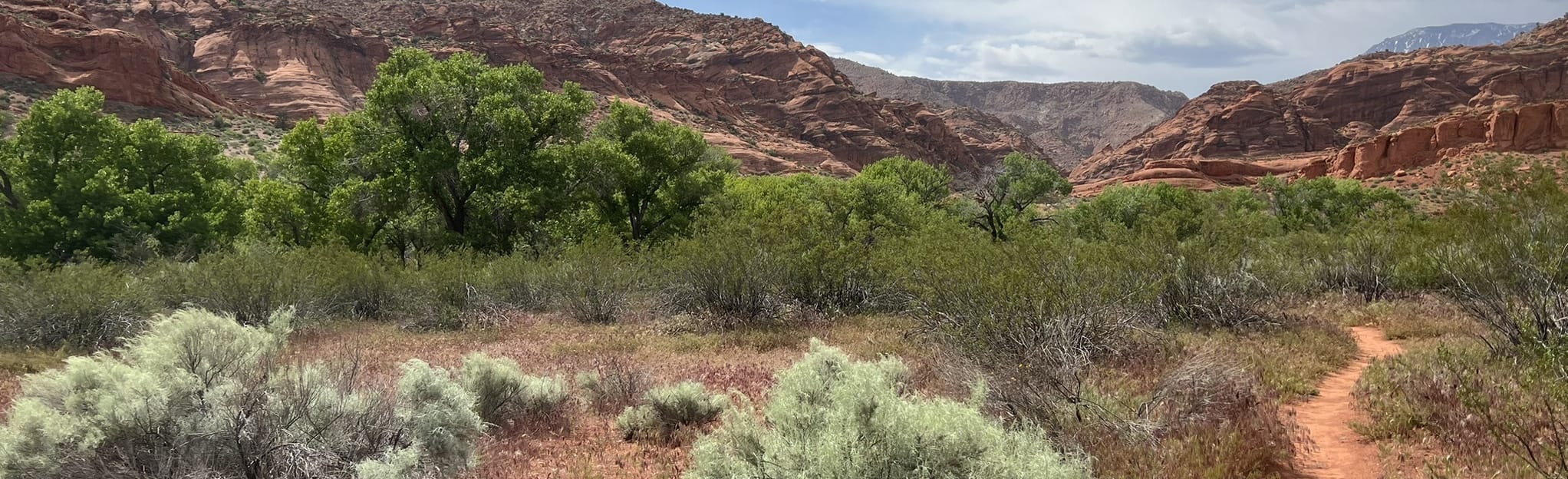 White Reef Trail and Leeds Reef Trail Loop, Utah - 127 Reviews, Map ...