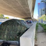 Guadalupe River Park Trail, California - 702 Reviews, Map | AllTrails