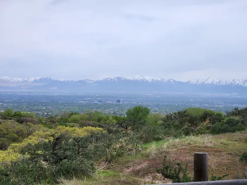 Best Hikes and Trails in Olympus Hills Park | AllTrails