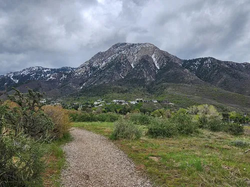 Best Hikes and Trails in Olympus Hills Park | AllTrails