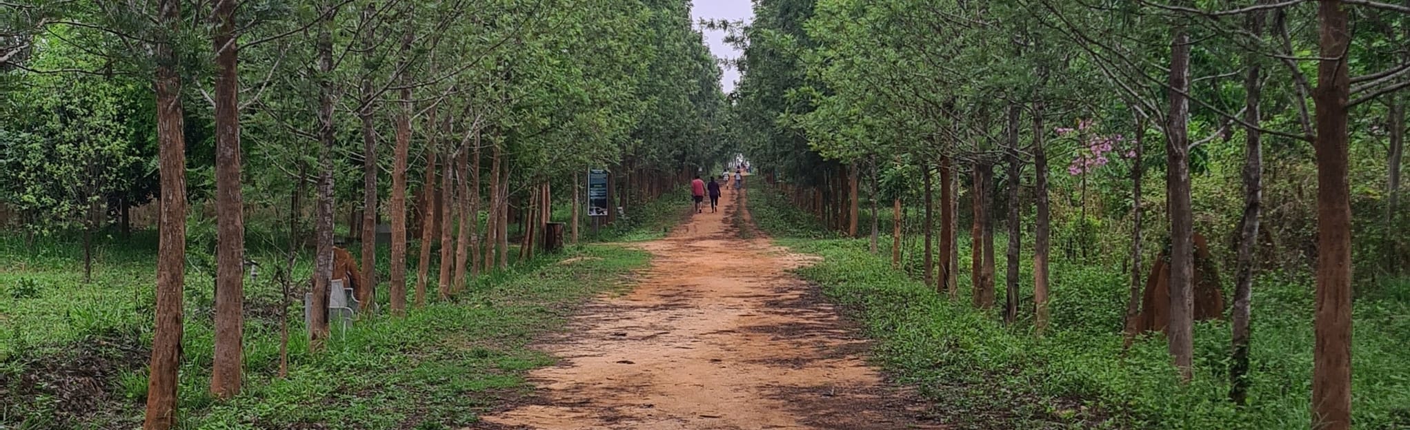 Avalahalli MTB Triple Loop, Karnataka, India - 3 Reviews, Map | AllTrails