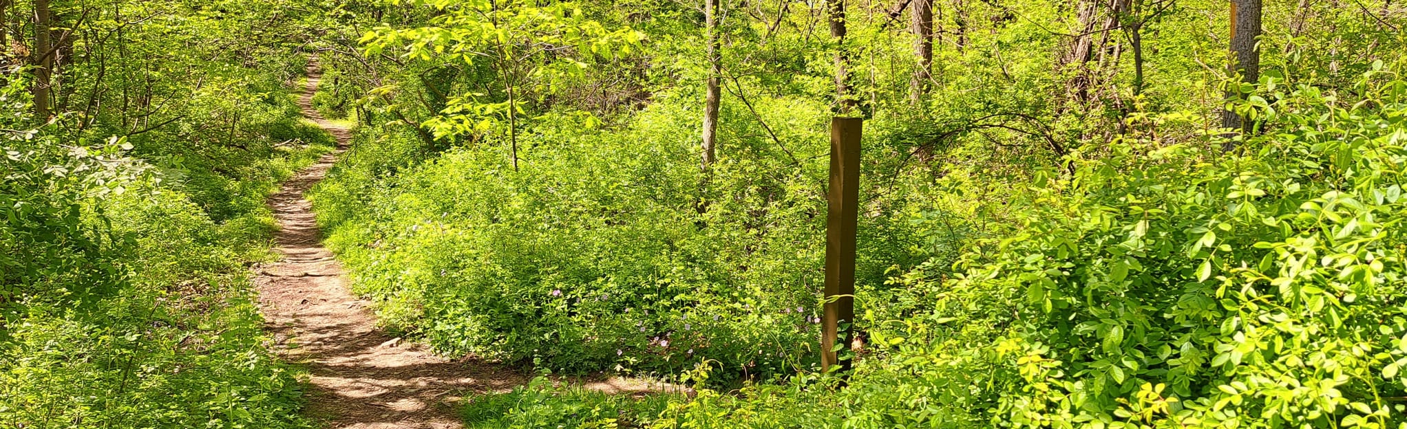 Darlington Trail, Pennsylvania - 311 Reviews, Map | AllTrails