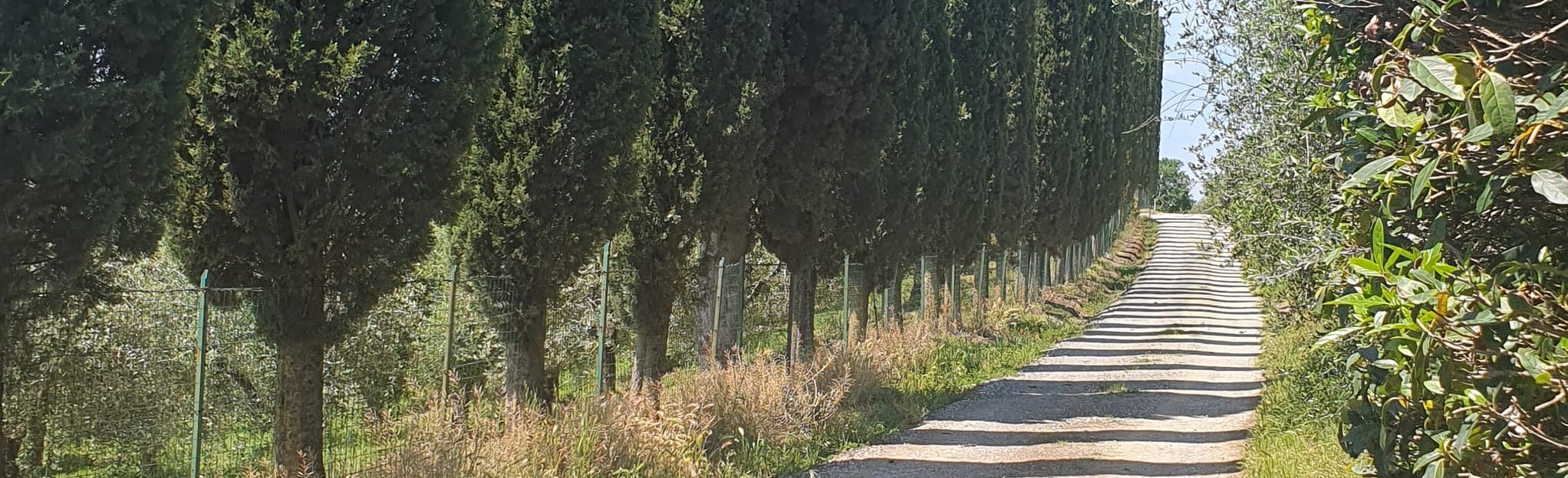 Il Vecchio Maneggio - Ulignano: 9 Reviews, Map - Tuscany, Italy | AllTrails