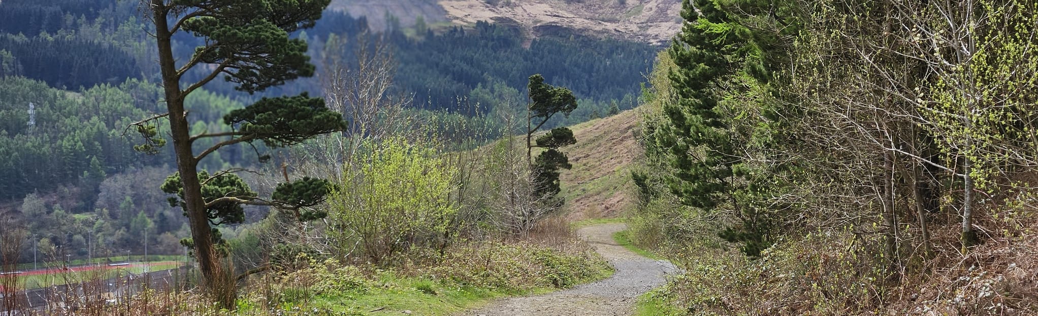 Llwynypia Circular: 17 Reviews, Map - Rhondda Cynon Taf, Wales | AllTrails