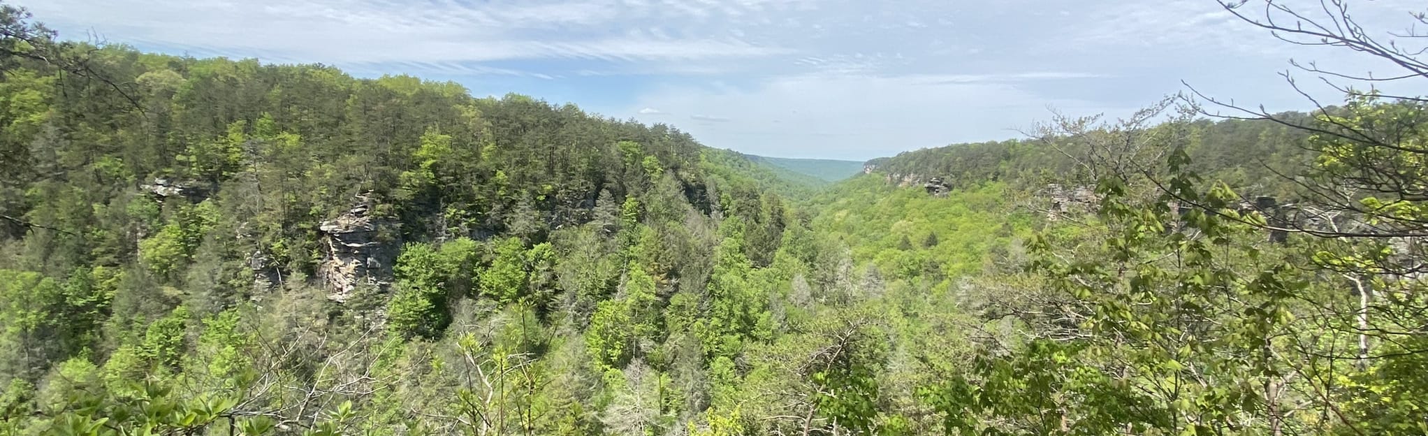 Savage Falls: 596 Reviews, Map - Tennessee | AllTrails