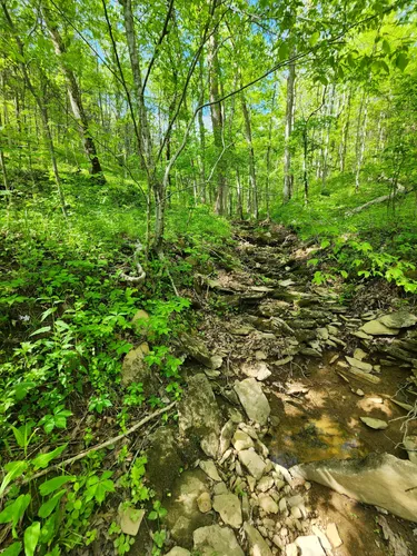 Best Hikes and Trails in Kleber Wildlife Management Area | AllTrails