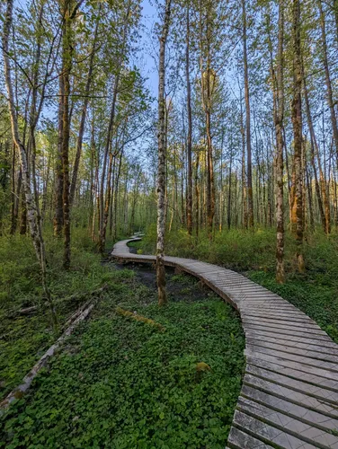 Best Hikes and Trails in Duthie Hill Park | AllTrails