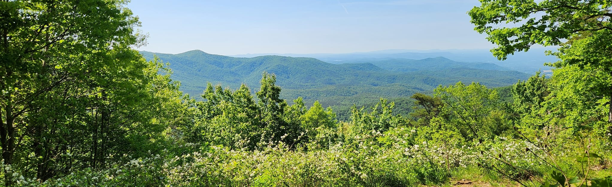 Gahuti Backcountry Trail, Georgia - 1,434 Reviews, Map | AllTrails