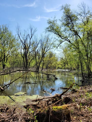 Best Hikes and Trails in Tower Hill State Park | AllTrails