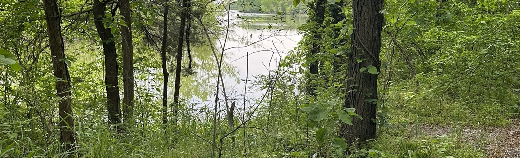 La Vergne Greenway: 32 Reviews, Map - Tennessee | AllTrails