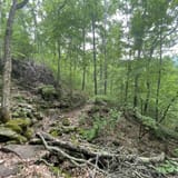 Buffalo River Trail: Steel Creek Campground to Erbie Campground ...