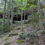Split Bow Arch Loop, Kentucky - 200 Reviews, Map | AllTrails