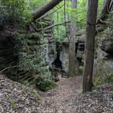 Split Bow Arch Loop, Kentucky - 167 Reviews, Map | AllTrails