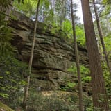 Split Bow Arch Loop, Kentucky - 200 Reviews, Map | AllTrails