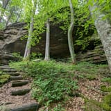 Split Bow Arch Loop, Kentucky - 167 Reviews, Map | AllTrails