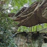 Split Bow Arch Loop, Kentucky - 167 Reviews, Map | AllTrails