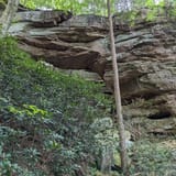 Split Bow Arch Loop, Kentucky - 167 Reviews, Map | AllTrails