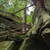 Split Bow Arch Loop, Kentucky - 167 Reviews, Map | AllTrails