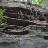 Split Bow Arch Loop, Kentucky - 167 Reviews, Map | AllTrails