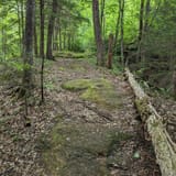 Split Bow Arch Loop, Kentucky - 200 Reviews, Map | AllTrails