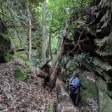 Split Bow Arch Loop, Kentucky - 169 Reviews, Map | AllTrails