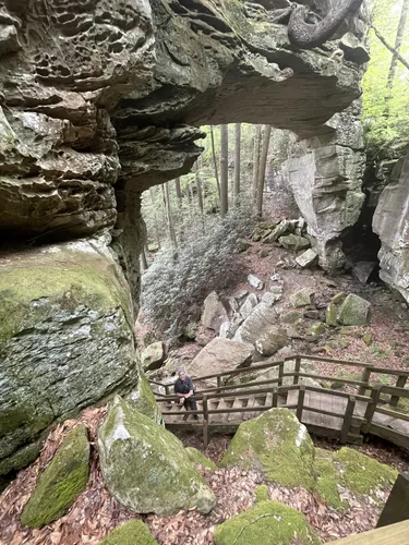 2023 Best Walking Trails in Strunk | AllTrails