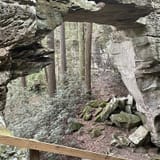 Split Bow Arch Loop, Kentucky - 200 Reviews, Map | AllTrails