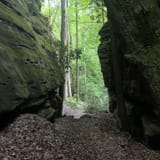Split Bow Arch Loop, Kentucky - 200 Reviews, Map | AllTrails