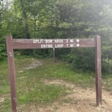 Split Bow Arch Loop, Kentucky - 200 Reviews, Map | AllTrails