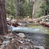Valley Loop Trail, California - 558 Reviews, Map | AllTrails