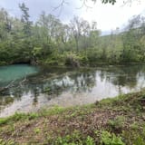 Round Spring Cave, Missouri - 20 Reviews, Map | AllTrails