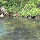 Round Spring Cave, Missouri - 20 Reviews, Map | AllTrails