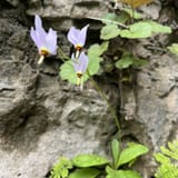 Round Spring Cave, Missouri - 20 Reviews, Map | AllTrails