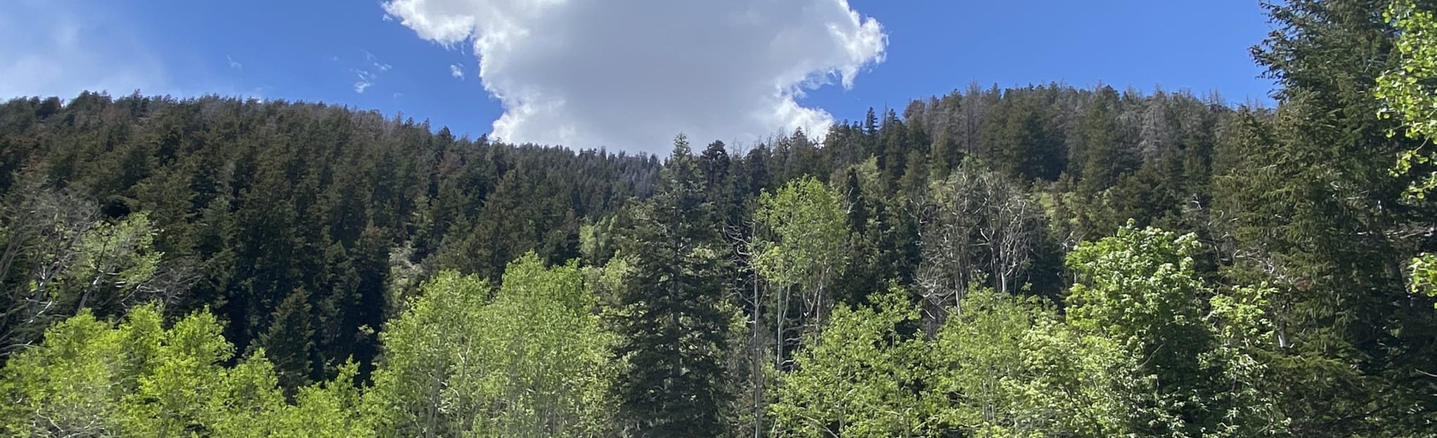 Jacob City Loop: 71 foto's - Utah | AllTrails