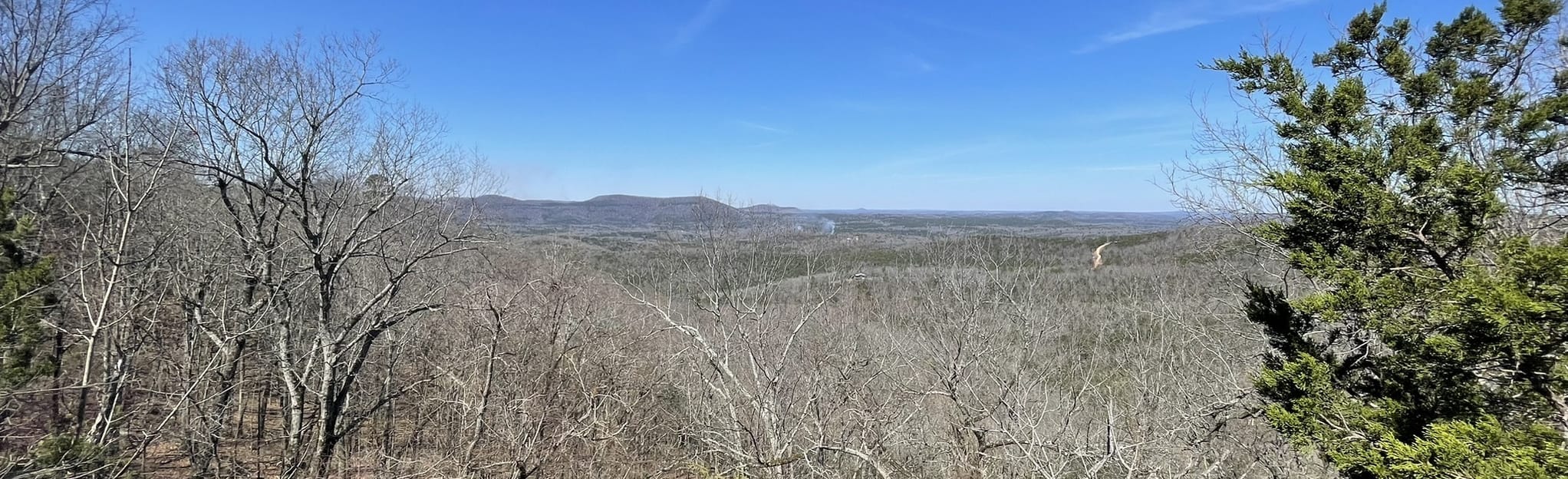 Devils Knob Loop, Arkansas - 201 Reviews, Map | AllTrails