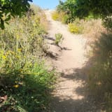 Ontario Ridge Trail via Sycamore Springs, California - 445 Reviews, Map ...