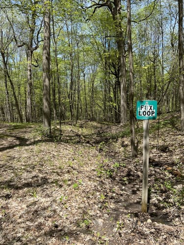 Best Hikes and Trails in Fox Hill Nature Preserve | AllTrails