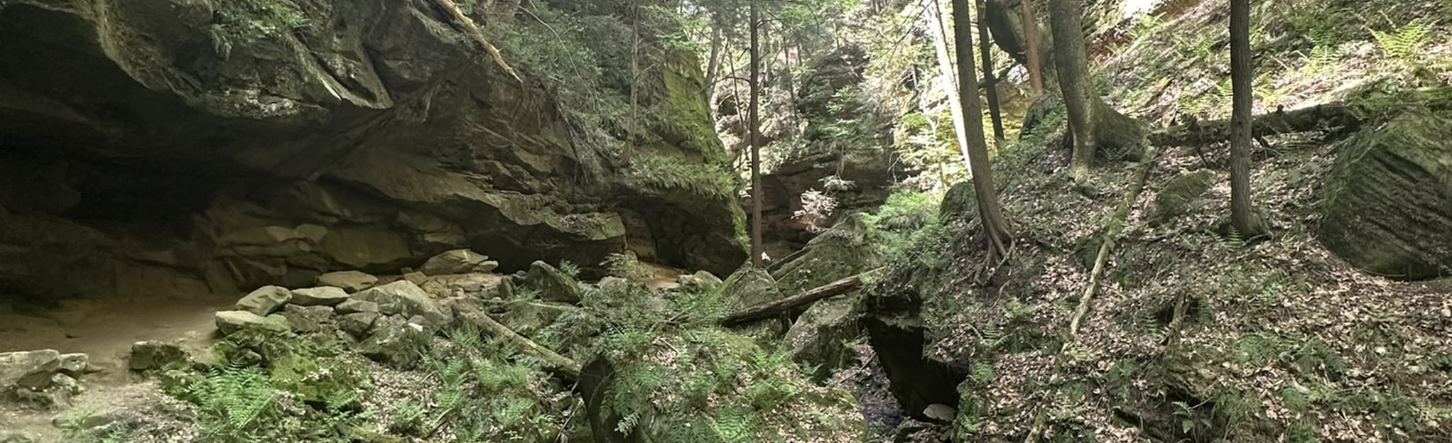 AllTrails | Hocking Orange Trail Loop: 79 Reviews, Map - Ohio
