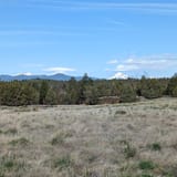 Riley Ranch Trails, Oregon - 474 Reviews, Map | AllTrails