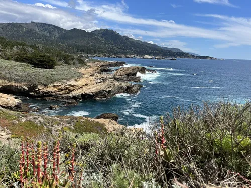 10 Best Hikes and Trails in Point Lobos State Natural Reserve | AllTrails