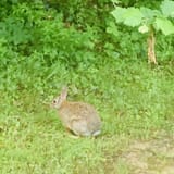 Three Notch Trail, Maryland - 203 Reviews, Map | AllTrails