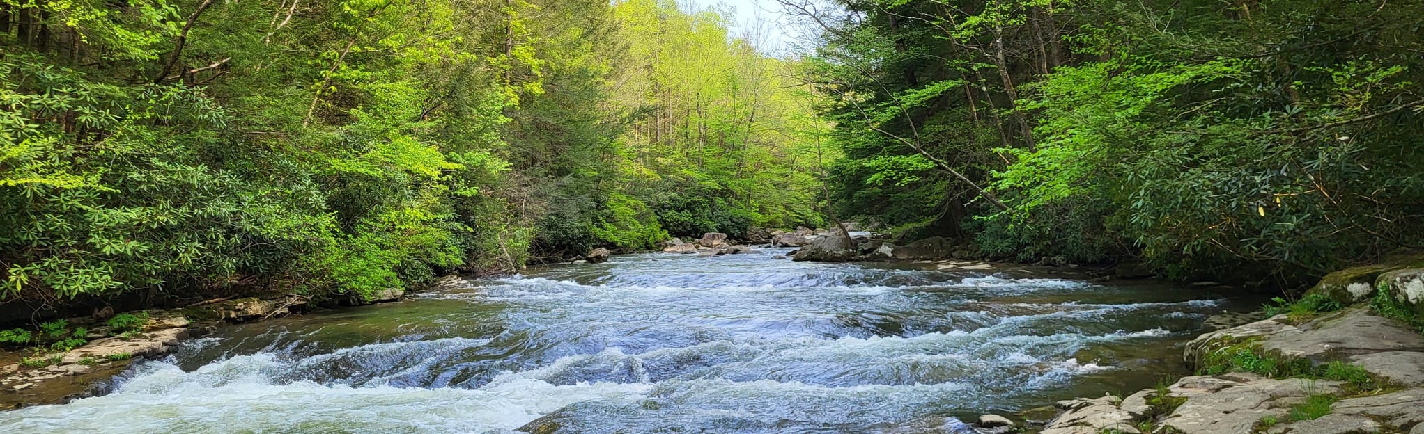 Meadow Run Trail, Pennsylvania - 987 Reviews, Map | AllTrails