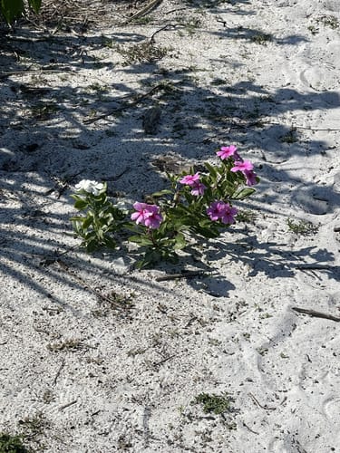 2023 Best Bird Watching Trails in Boca Raton | AllTrails