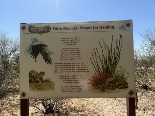 Best Hikes and Trails in Arthur Pack Regional Park | AllTrails