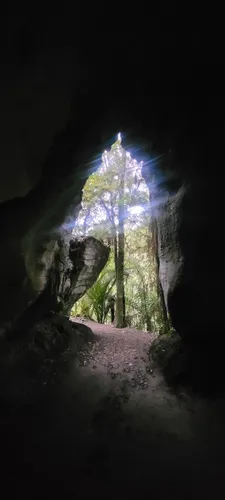 2023 Best Forest Trails in Te Anga | AllTrails